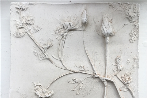 Scampston Hall - Botanical Plaster Casting Workshop - Afternoon Session ...
