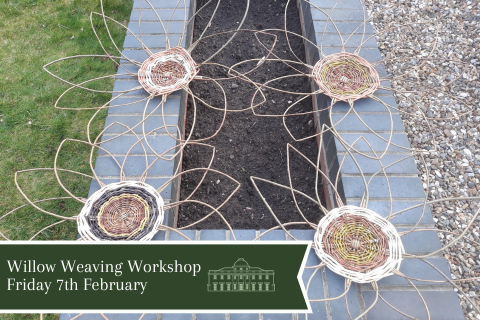 Scampston Hall - Willow Weaving workshop - Large willow sunflower - Malton, North Yorkshire